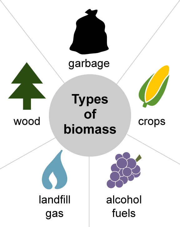 Engineering E Coli For Biofuel Production Engineering E Coli For Biofuel Production